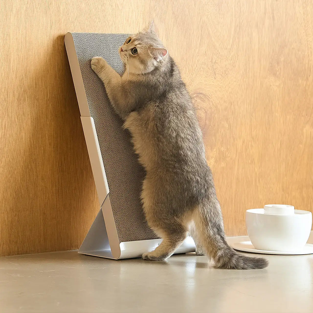 Duit - Pet Standing Board – Harumio