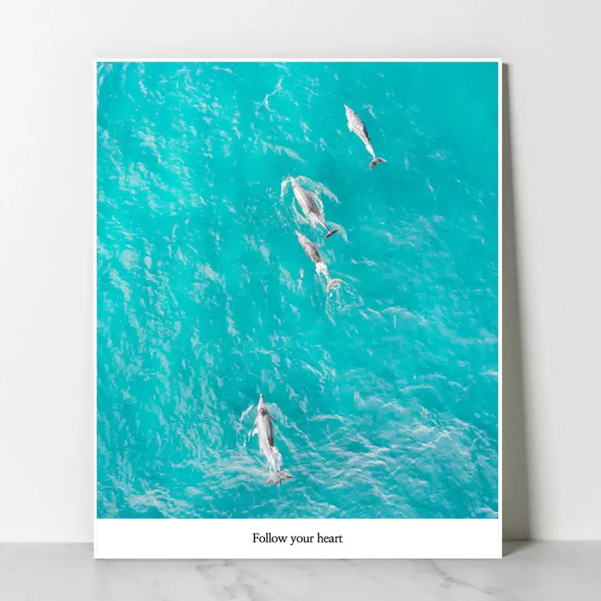 SD Photo - Maparam Whale Panting (Inspired by Extraordinary Attorney W ...