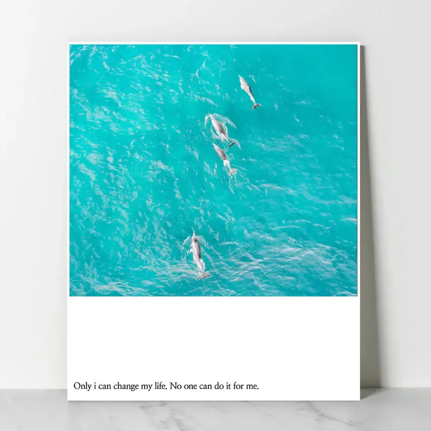 SD Photo - Maparam 2 Whale Panting (Inspired by Extraordinary Attorney ...