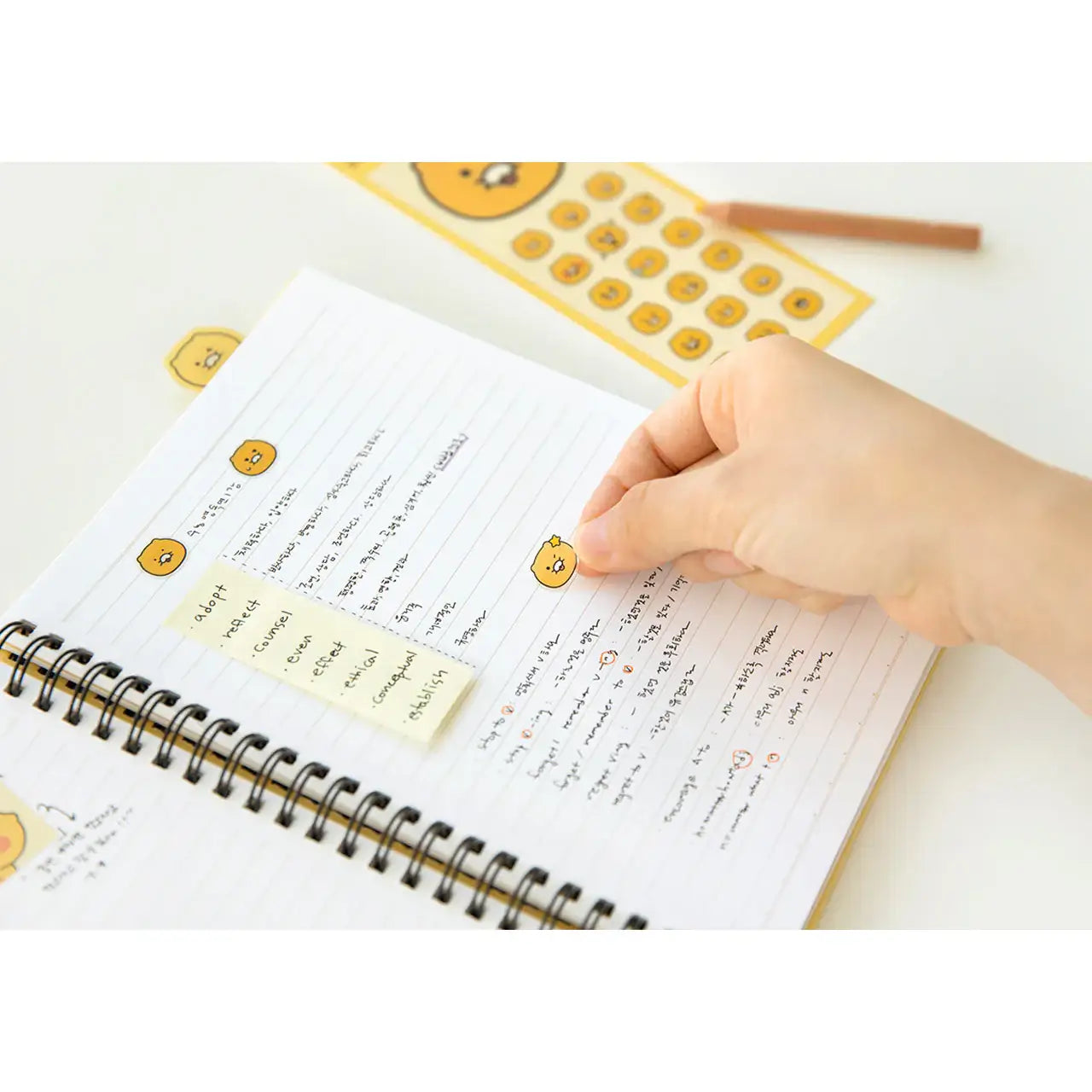 Kakao Friends - Choonsik Expression Sticker – Harumio